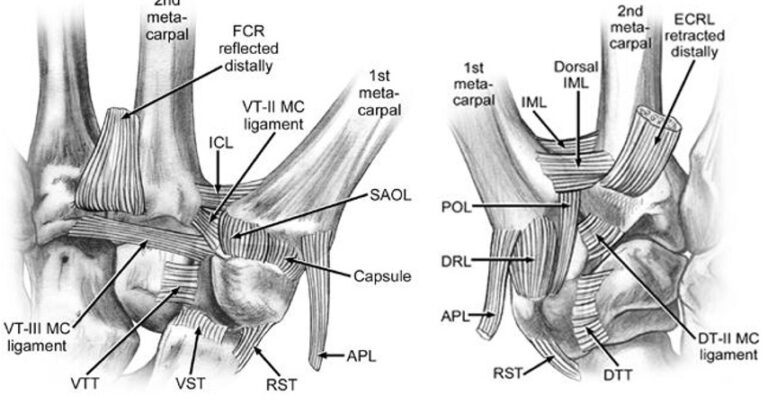 Pathogenesis, Diagnosis, and Non-operative Management Strategies for ...