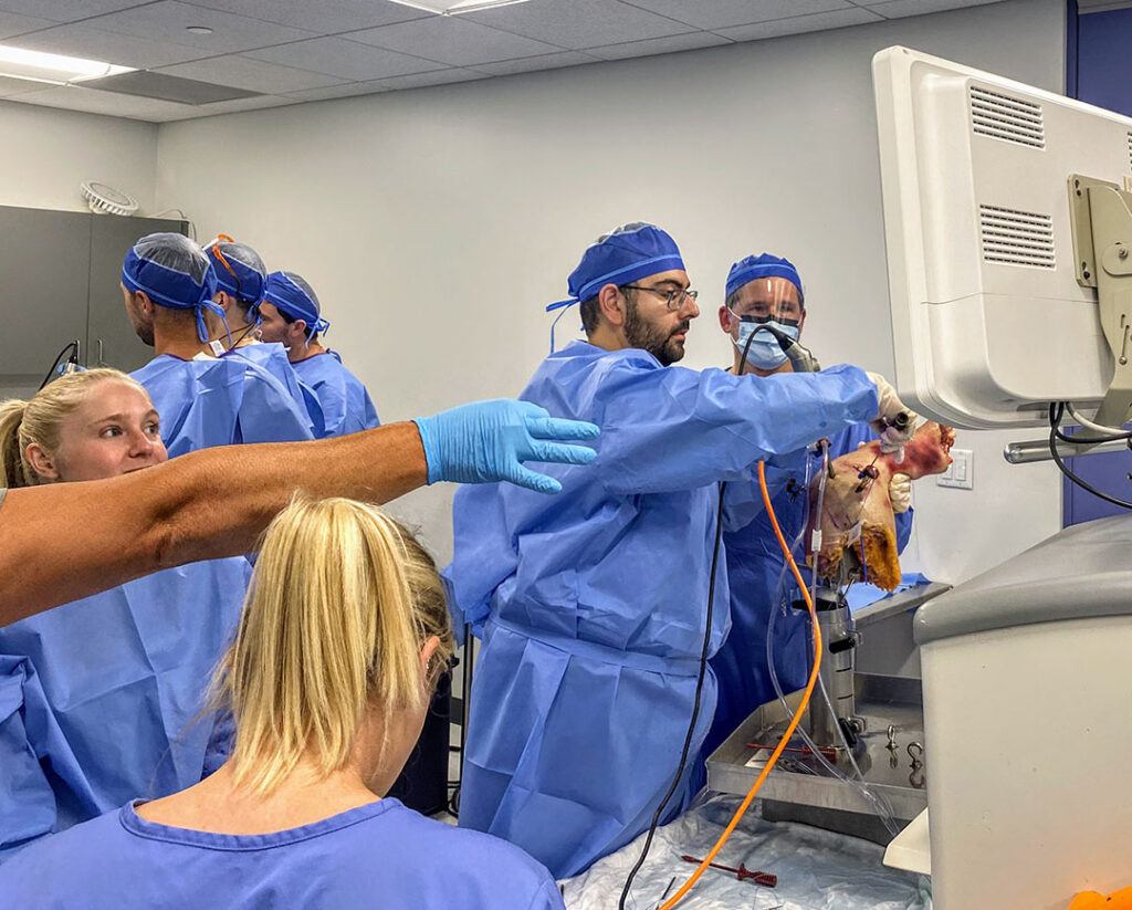 Philadelphia College of Osteopathic Medicine (PCOM) Orthopedic Surgery ...